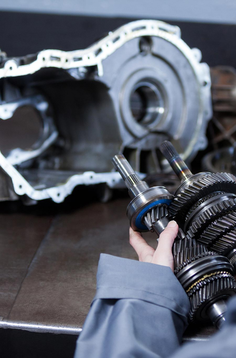 Apoyamos en áreas de producción – MYSIC